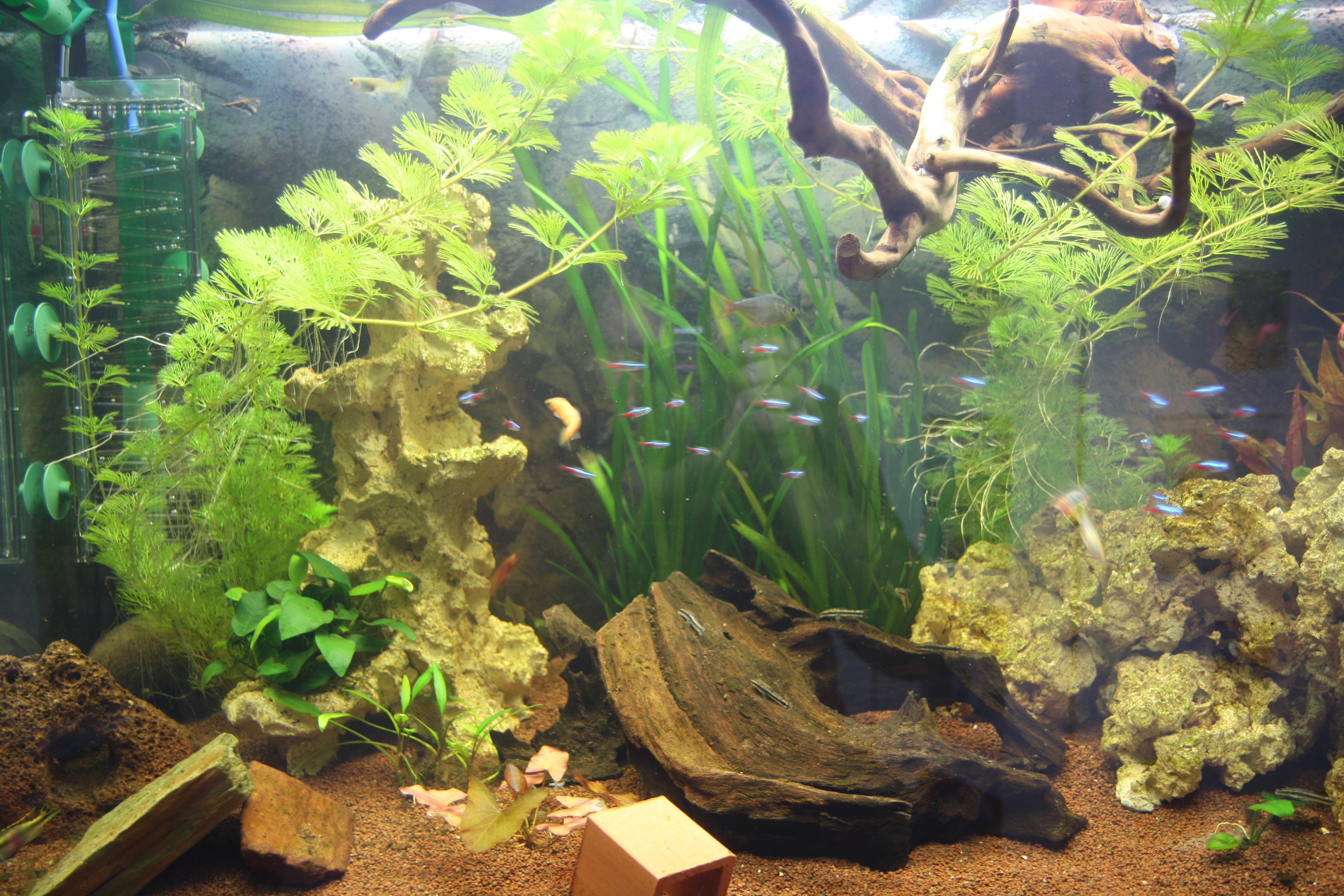 Fluval Osaka 260 • Communautaire